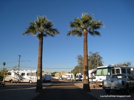 We Called It Home: APACHE PALMS RV PARK, TEMPE, ARIZONA